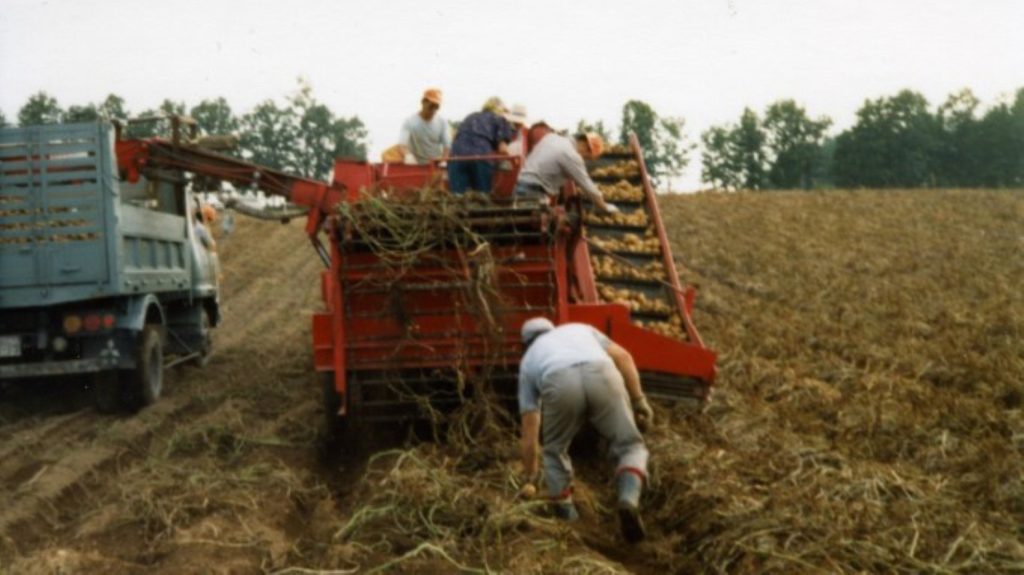 About Us | Agricultural Equipment | Spudnik Equipment