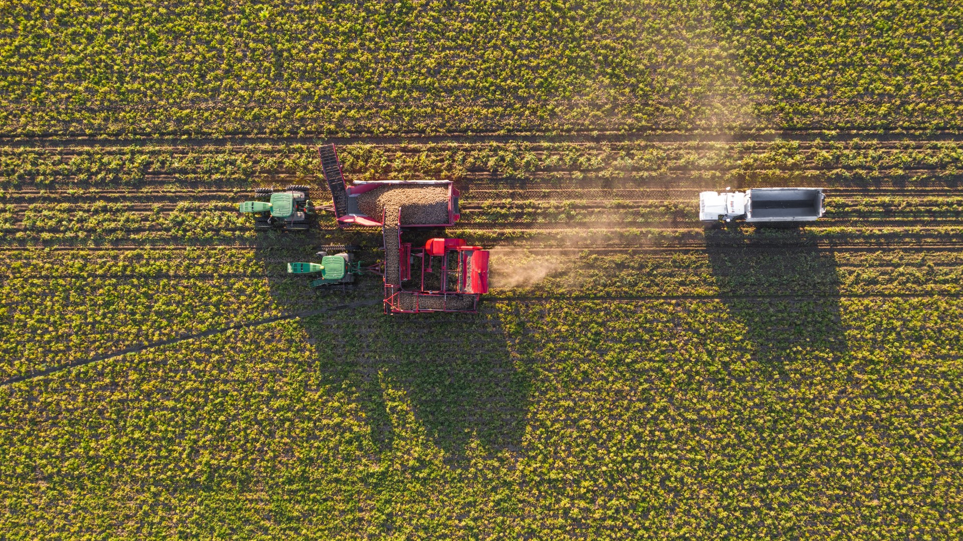 4 Row Potato Harvester | Spudnik Equipment | Idaho
