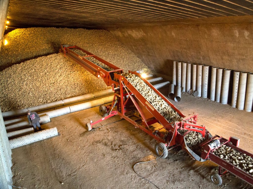 780 Large Frame Piler | Potato Equipment | Spudnik Equipment