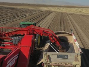 4 Row Potato Harvester | Spudnik Equipment | Idaho