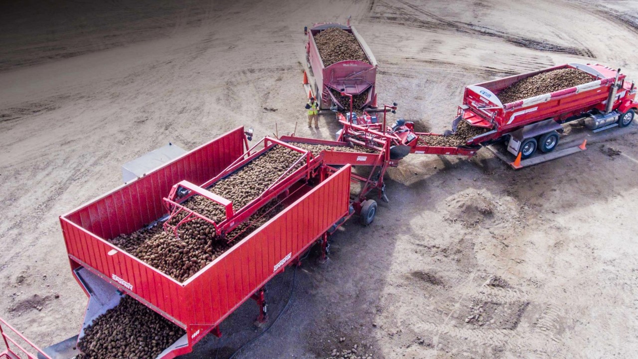 High Capacity Even Flow Bin | Potato Equipment | Spudnik