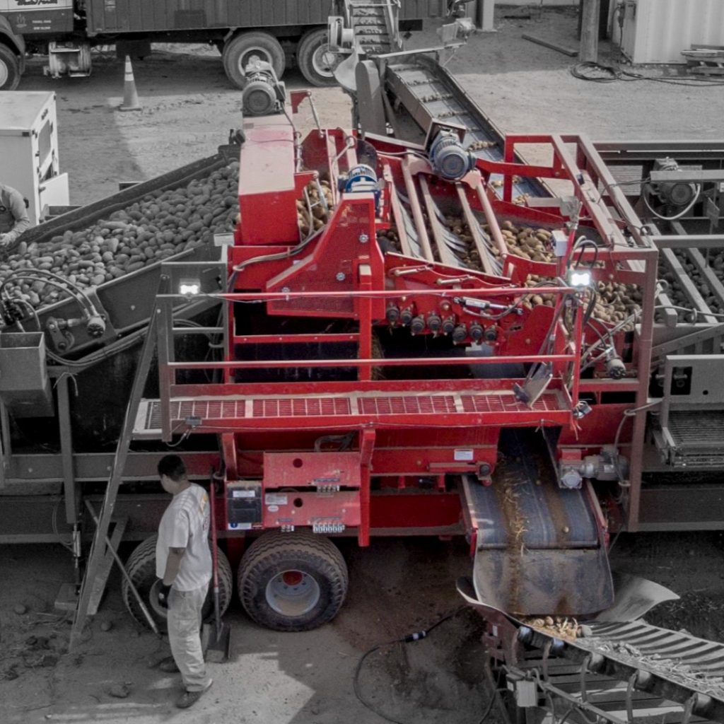 990 Custom Potato Eliminator | Potato Equipment | Spudnik