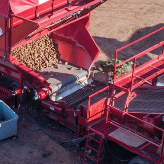 High Capacity Even Flow Bin | Potato Equipment | Spudnik