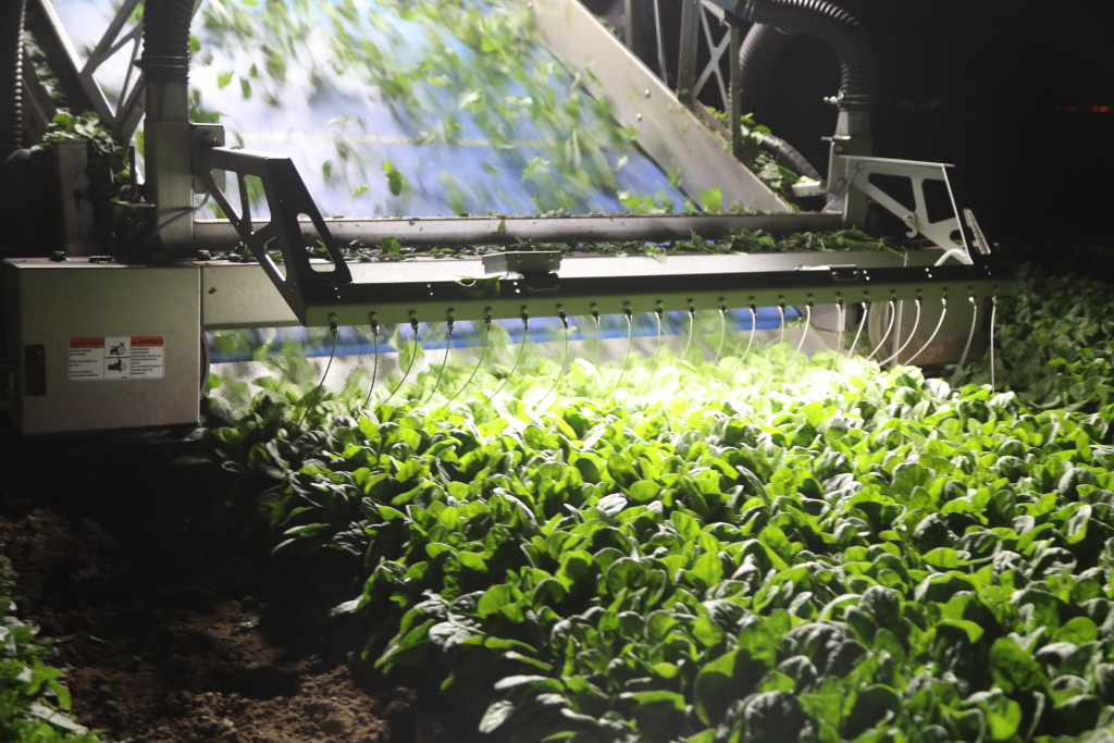 Baby Leaf Spinach Harvester | Spudnik Equipment | Idaho