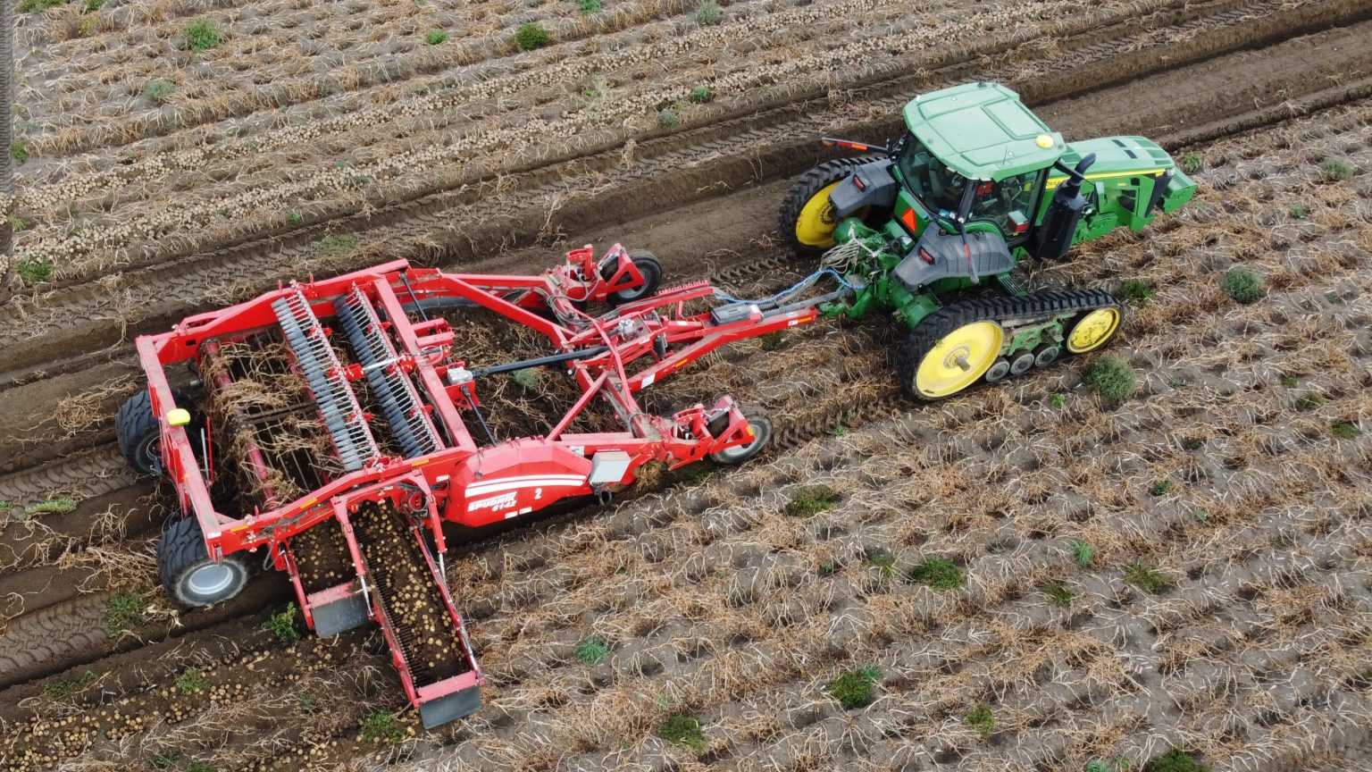 6142 - 4 Row Potato Windrower | Spudnik