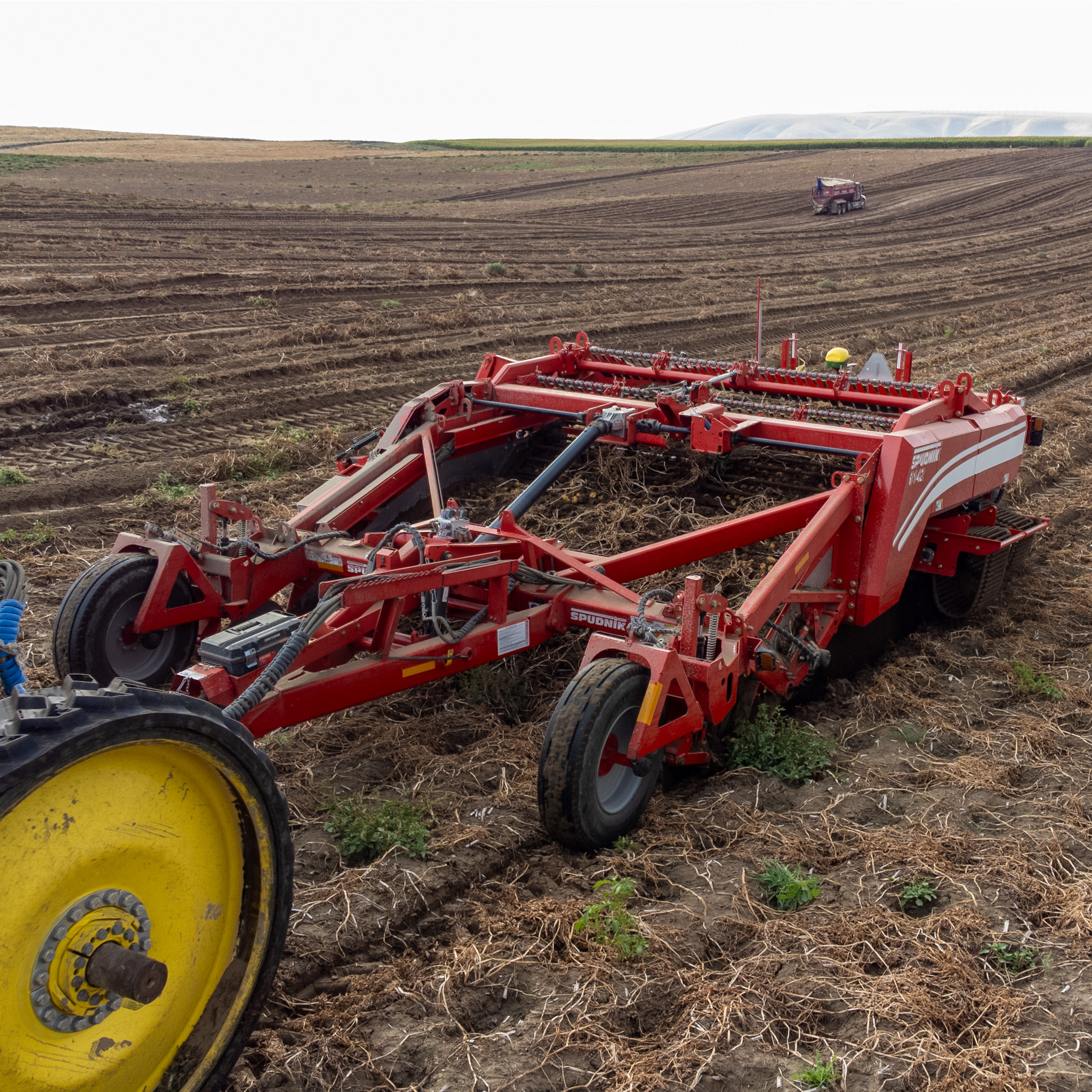 6142 - 4 Row Potato Windrower | Spudnik