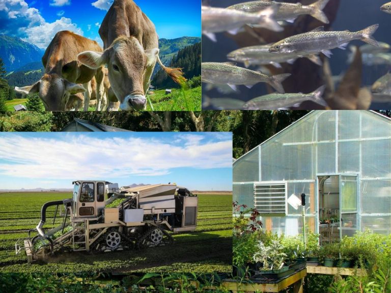 13 Different Types Of Farming Practices Around The World | Spudnik