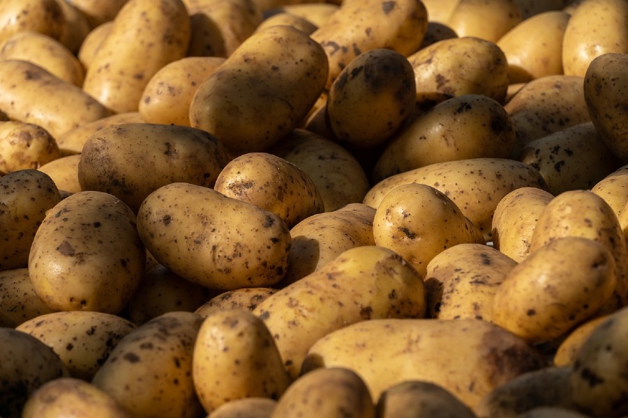 Mintec: UK potatoes at all-time highs for the second year in a row ...
