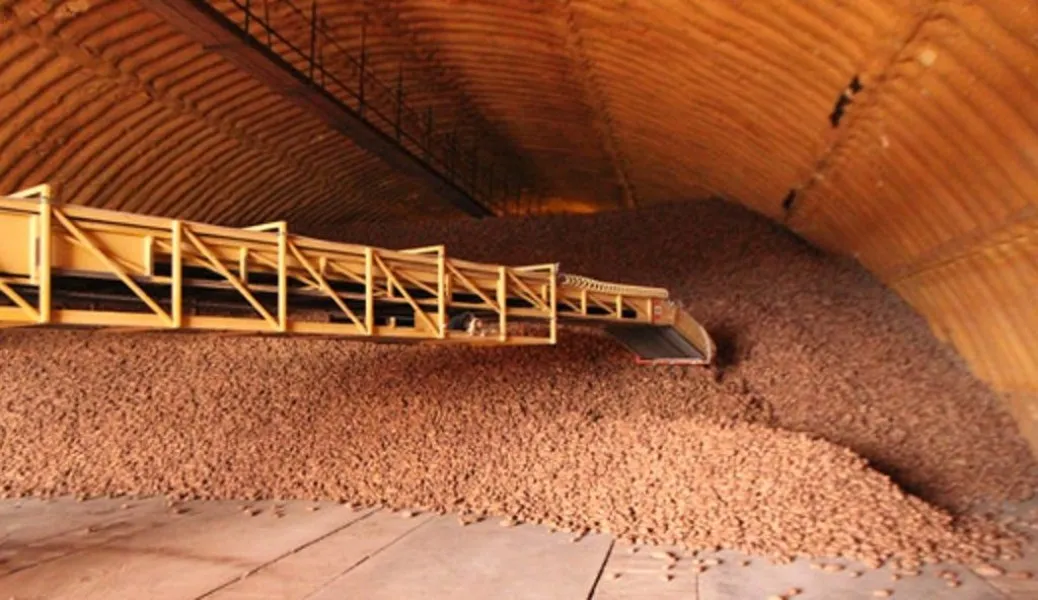 Key strategies and essential practices for successful potato storage ...